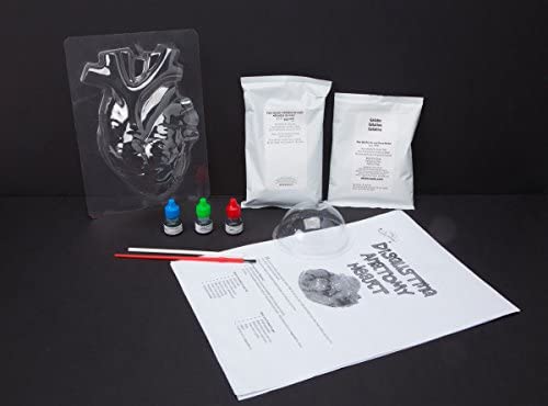 scientific-explorer-disgusting-anatomy-heart-2-1 – THIRD FLOOR STUFF